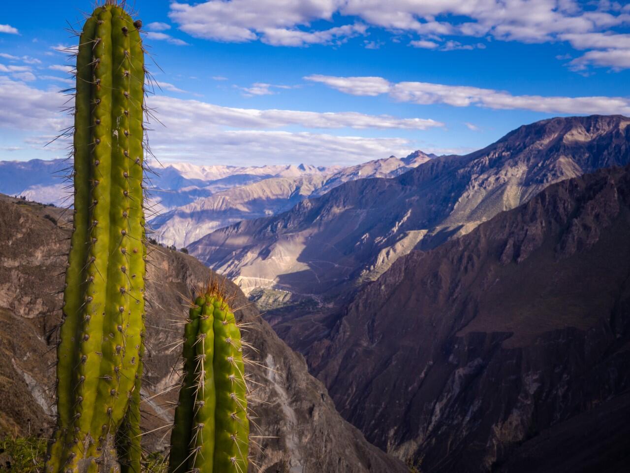 Magiczne Andy. Góry Tęczowe i kanion Colca w Peru - Portal asta24.pl ...
