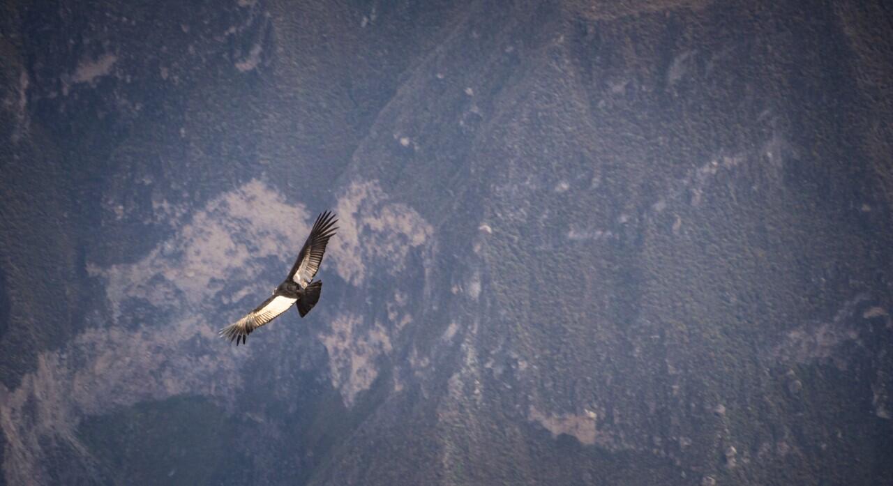 Magiczne Andy. Góry Tęczowe i kanion Colca w Peru - Portal asta24.pl ...