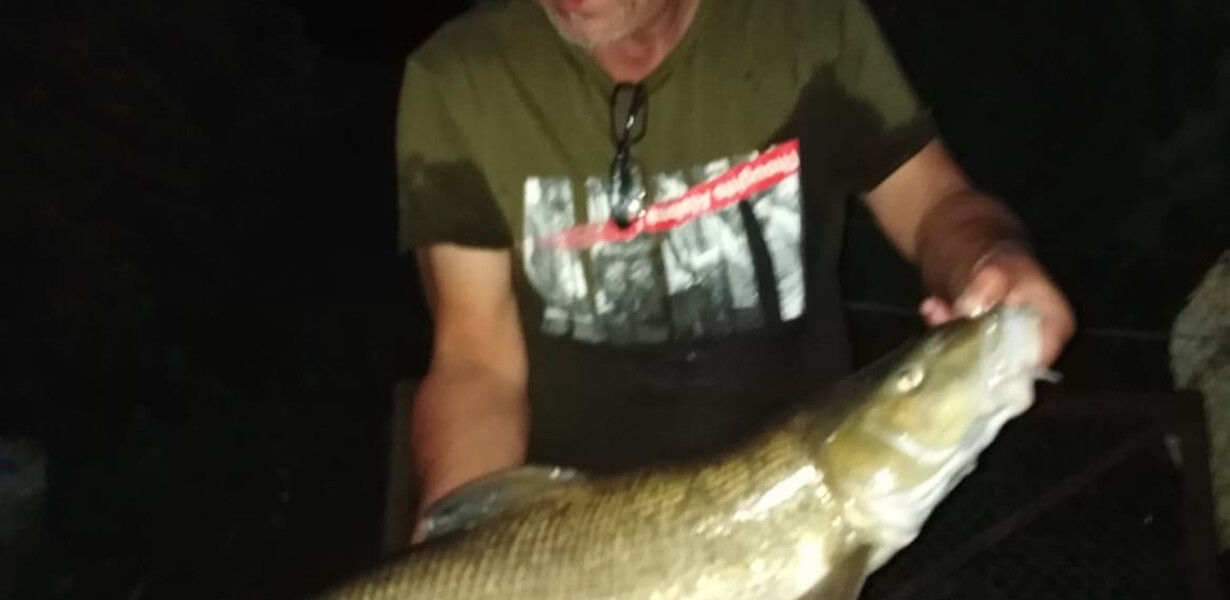 Okazała brzana złowiona w Gwdzie - Portal asta24.pl - Piła - informacje ...