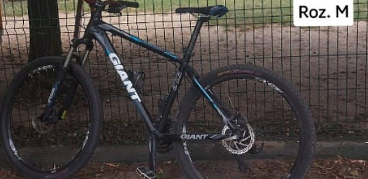 Nagroda za odnalezienie roweru - Portal asta24.pl - Piła - informacje i ...